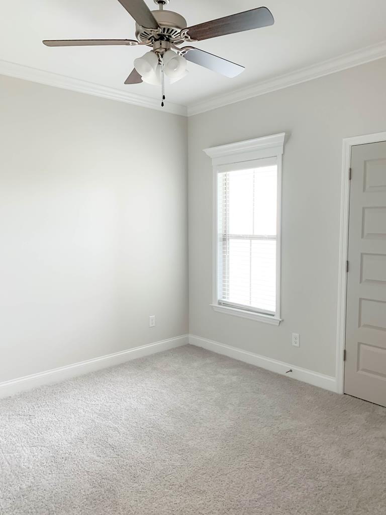 Troy - Accelerated Builders