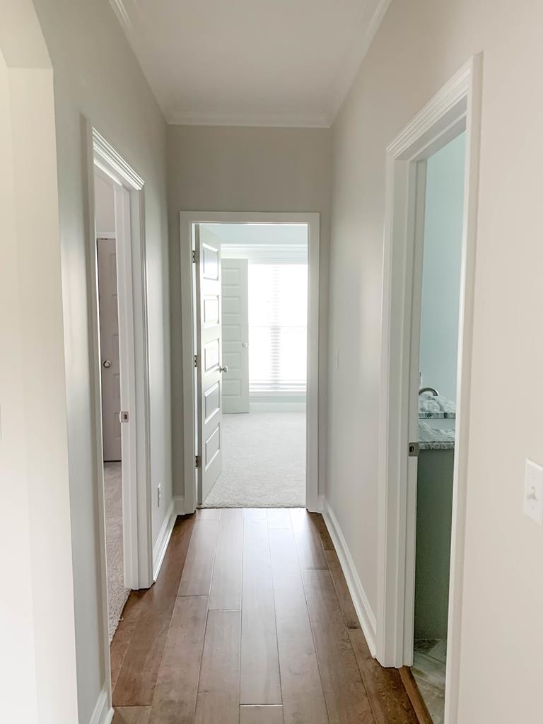 Troy - Accelerated Builders